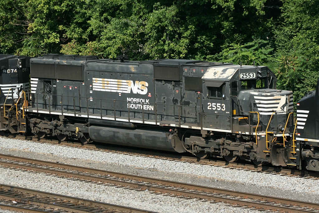 NS 2553